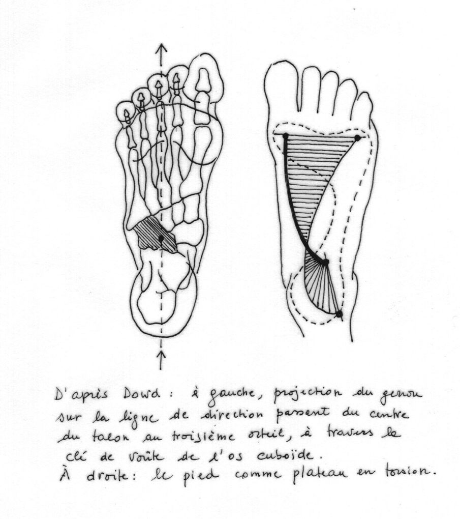 Pour un atlas des Figures
